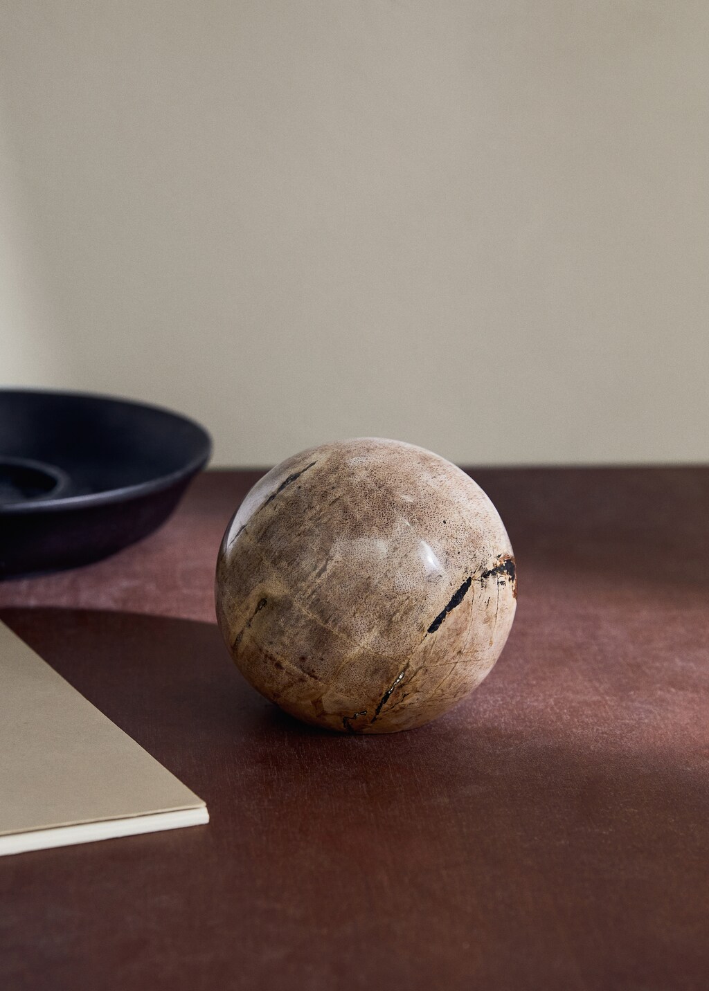 Petrified wood paperweight - Home | MANGO Slovenia