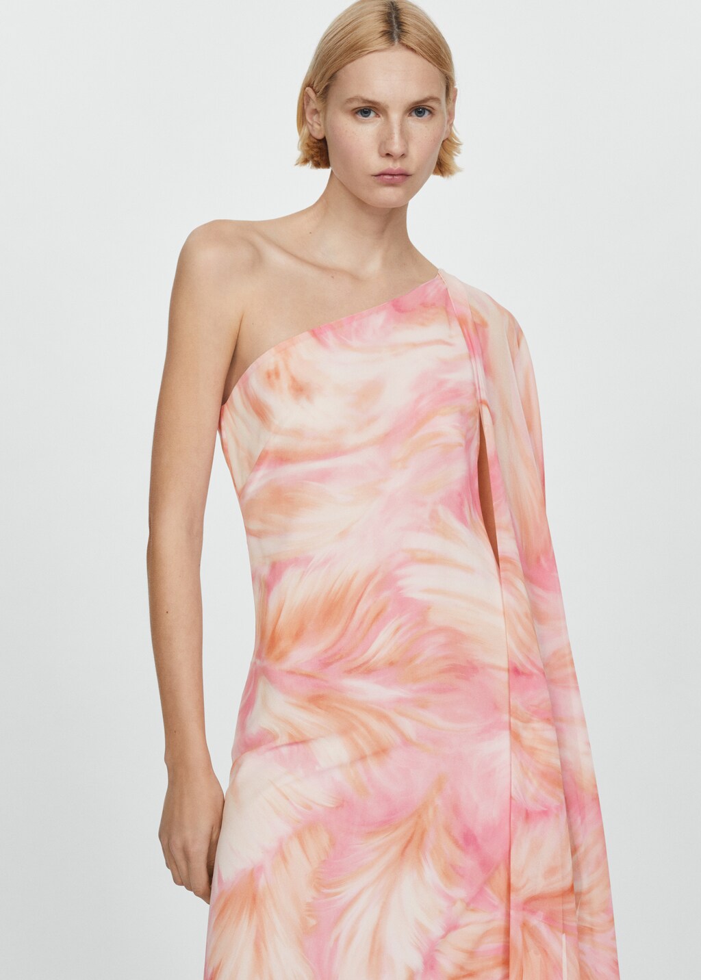 Ruffle sleeve printed dress