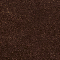 Vesker til dame 2025 | MANGO Norway